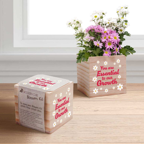 Growing Gratitude Plant Kit - Commit-MINT – Baudville